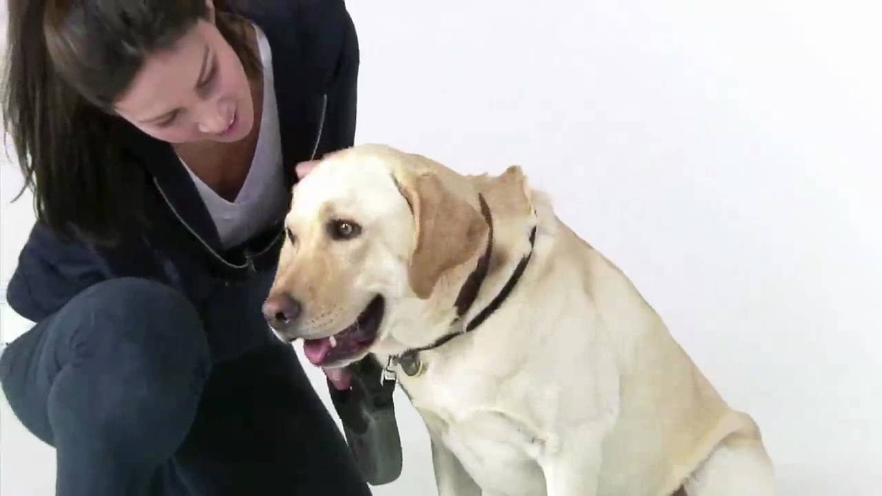 Flexi Comfort Compact - въже, 8 м, гумирана дръжка | DrAntonov.bg