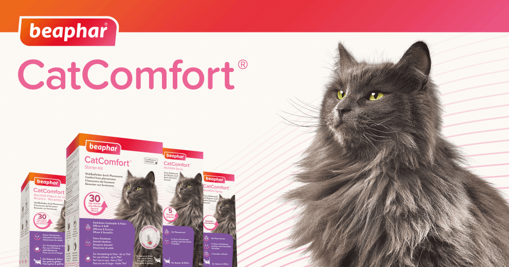 Beaphar Calming и Cat Comfort – краят на всяко безпокойство | DrAntonov.bg